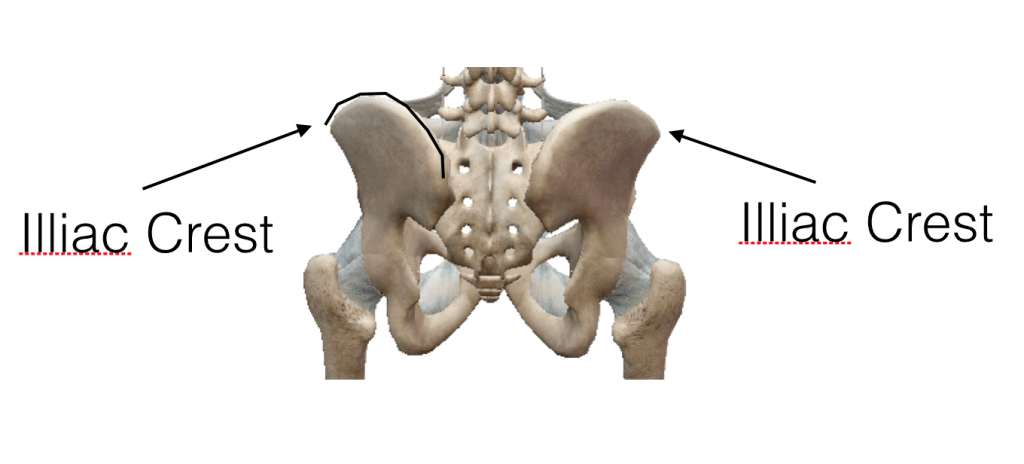 Beyond Foam Rolling: Lower Back Self Myofascial Release | soma system®